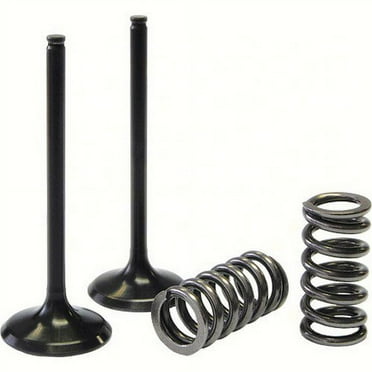 Edelbrock 5794 Sure Seat Valve Spring Kit - Walmart.com