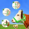 Uxcell 1-Pack Adjustable Cattle Cow Calf Halter, 19.68"-23.62" Nylon ...