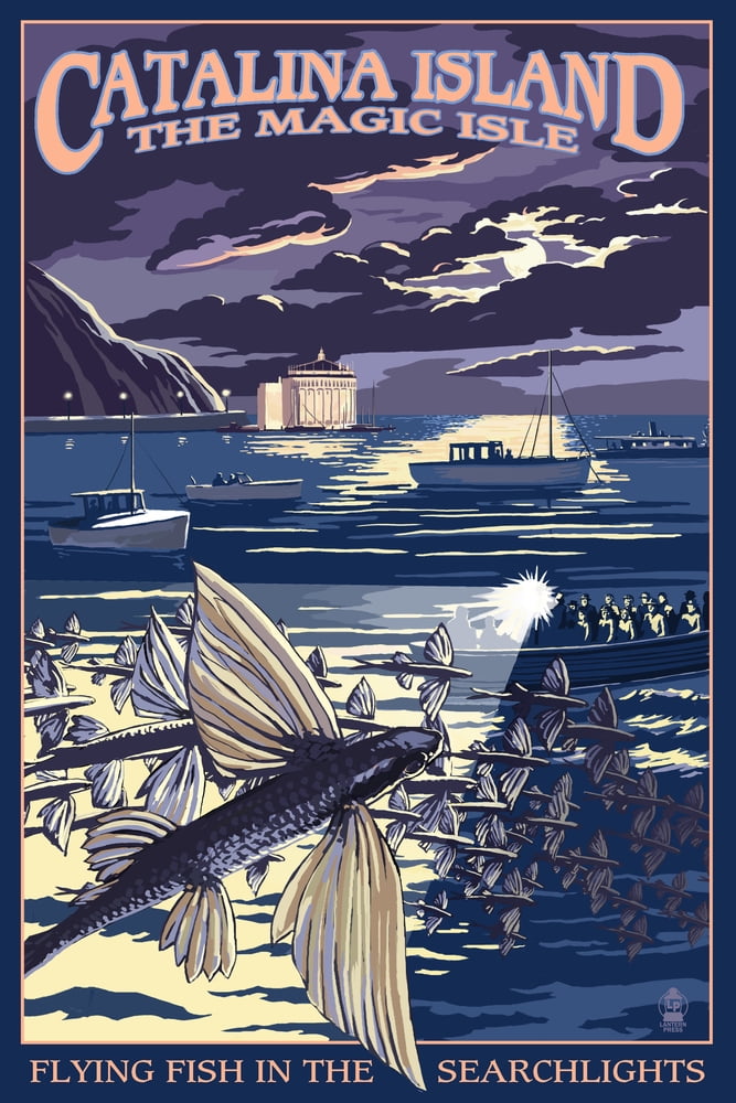 Catalina Island, California, Flying Fish (36x54 Giclee Gallery Art ...