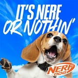 Nerf Dog LED Light Up Dental Spikes Squeaky Ball for Dogs, 2.7 inch ...