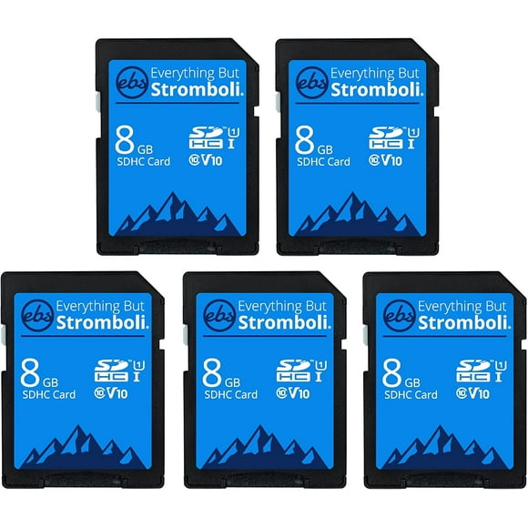 SDHC, SDXC & SD Cards | Walmart Canada