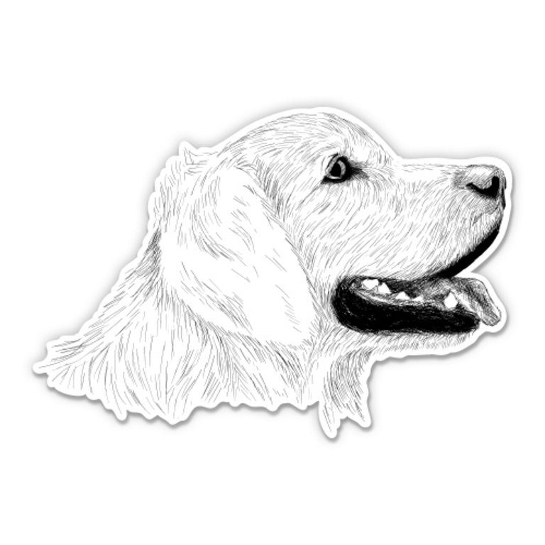 Lab Head Decal