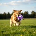 Durable Puppy Soccer Ball Toy with Hand Pump - Interactive Dog Ball for ...
