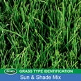 Scotts Turf Builder Grass Seed Sun & Shade Mix for Full Lawn, 7 lbs ...