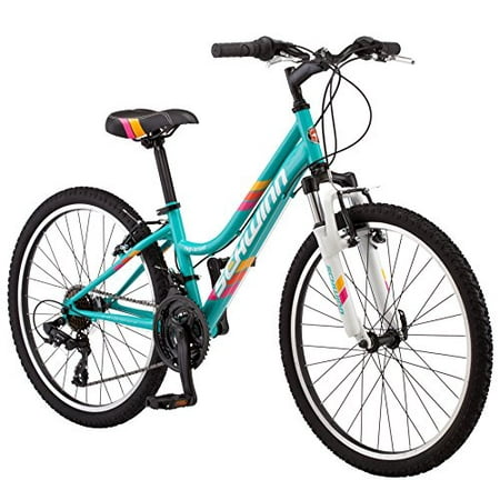 Schwinn High Timber Youth/Adult Mountain Bike, Steel Frame, 24-Inch ...