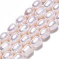 2Strand Natural Cultured Freshwater Pearl Beads Strands Seashell Color ...