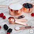 Styled Settings Copper Stainless Steel Measuring Cups and Spoons Set ...