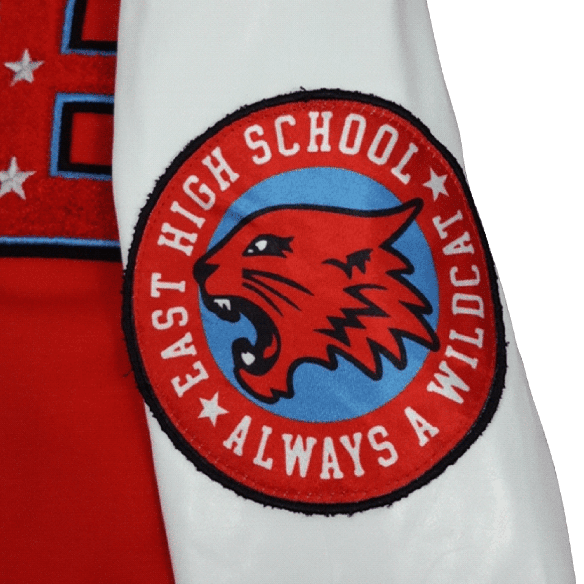 Wildcat Logo High School Musical