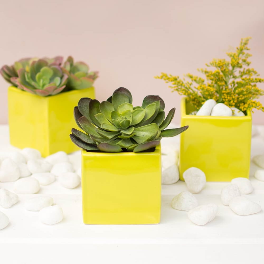 Vases Square Ceramic Vase Cube Flower Pot 3.25 inches Neon Green 12 ...