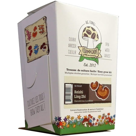 Reishi - Ling Zhi Ganoderma Lucidium - Mushroom Home Growing Kit ...
