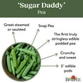 Burpee Sugar Daddy Pea Seeds - Non-GMO, Snap Pea, Heirloom Vegetable ...