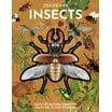 The Jazz Fly: Starring the Jazz Bugs [With CD] (Hardcover) - Walmart.com
