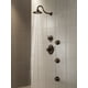 Delta 3-Spray Shower Head in Venetian Bronze RP34355RB - Walmart.com