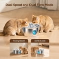 Stainless Steel Cat Water Fountain with 9 Filters - Quiet Dual Spout ...
