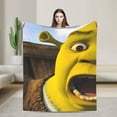 100*130New Style Funny Shrek Meme Blanket for - Walmart.com