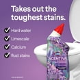Clorox Scentiva Bathroom Toilet Cleaning Gel, Lavender and Jasmine, 24 ...