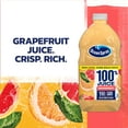 Ocean Spray® 100% Grapefruit Juice, Low Calorie Beverage, Perfect ...