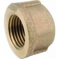 Anderson Metals Corp. Threaded Pipe Cap Brass Plumbing Thread Cap - 1 ...