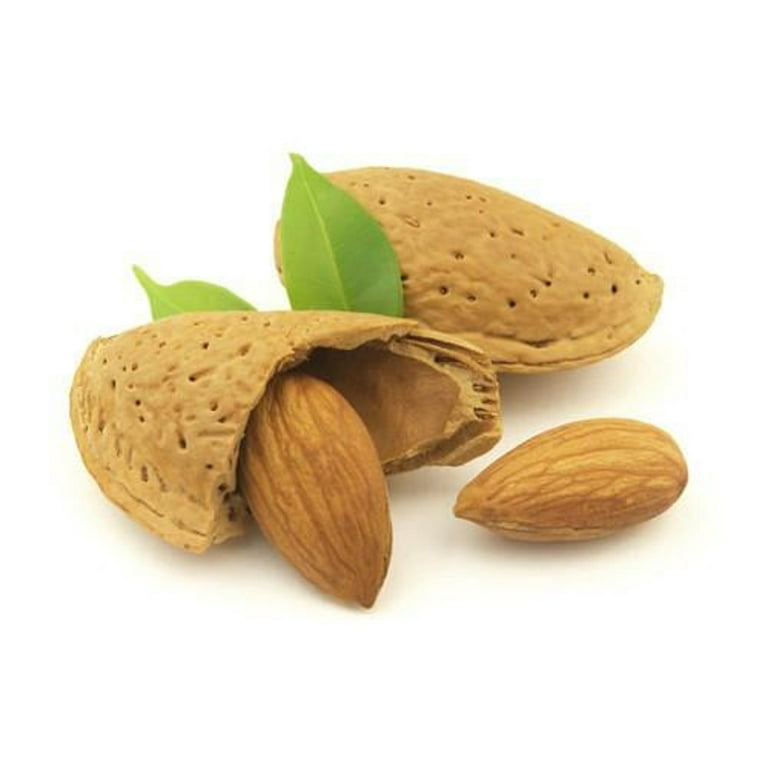 Almond Farm Background