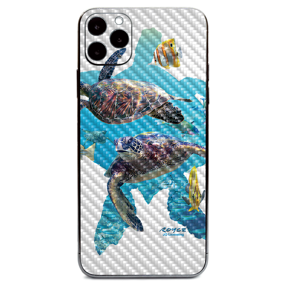 Carbon Fiber Skin Decal Wrap Compatible With Apple iPhone 11 Pro ...