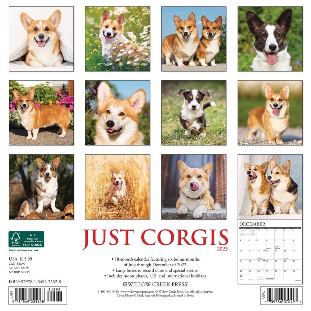 Buy Just Corgis 2023 Wall Calendar (Other) Online at Lowest Price in ...
