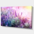 Designart 'Growing and Blooming Lavender ' Floral Canvas Art print ...
