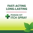 Ivarest Poison Ivy Itch Spray, Maximum Strength Relief, 3.4 oz ...