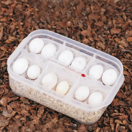 ANGGREK Snakes Eggs Incubator,Transparent Plastic Professional Gecko ...