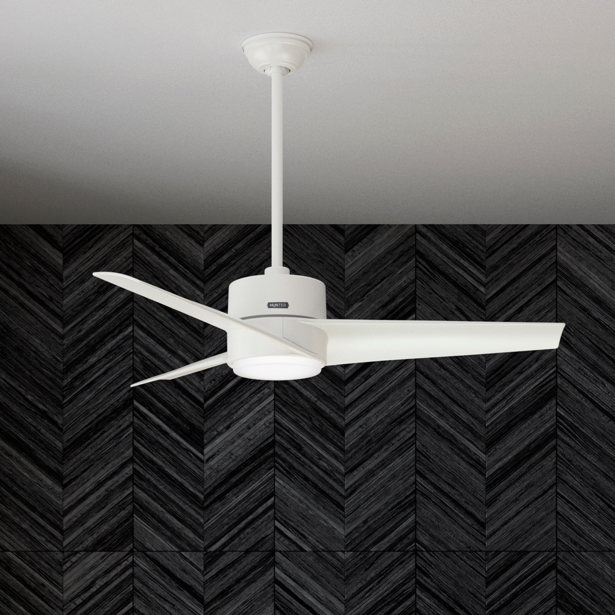 Restored Hunter Fan 54 inch Casual Fresh White Indoor/Outdoor Ceiling ...