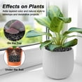 Landscaping Pebbles, River Rocks Decorative Ornamental Pebbles Garden ...