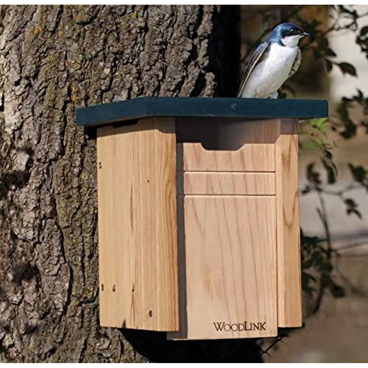 Bluebird/Swallow House, Designed for Tree Swallows and Bluebirds ...