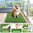 Dog Grass Mat with Pee Pad,Small Litter Box Indoor Artificial Grass ...