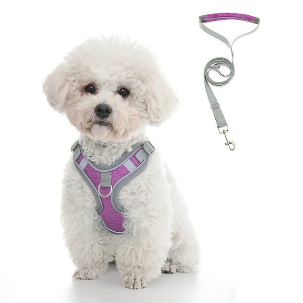 Leash Set - Dog Vest Harness for Small Dogs Medium Dogs- Adjustable Reflective Step in Harness ...