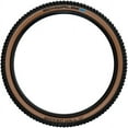 Schwalbe Wicked Will Tire - 29x2.4 Tubeless Fold Black/Transparent ...