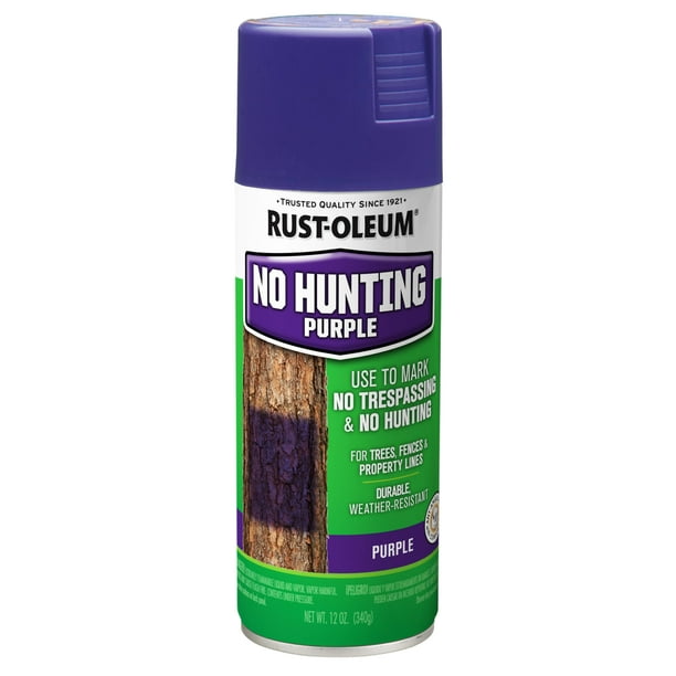 Pintura en aerosol Rust-Oleum 270970 No Hunting Purple 340g | Bodega ...