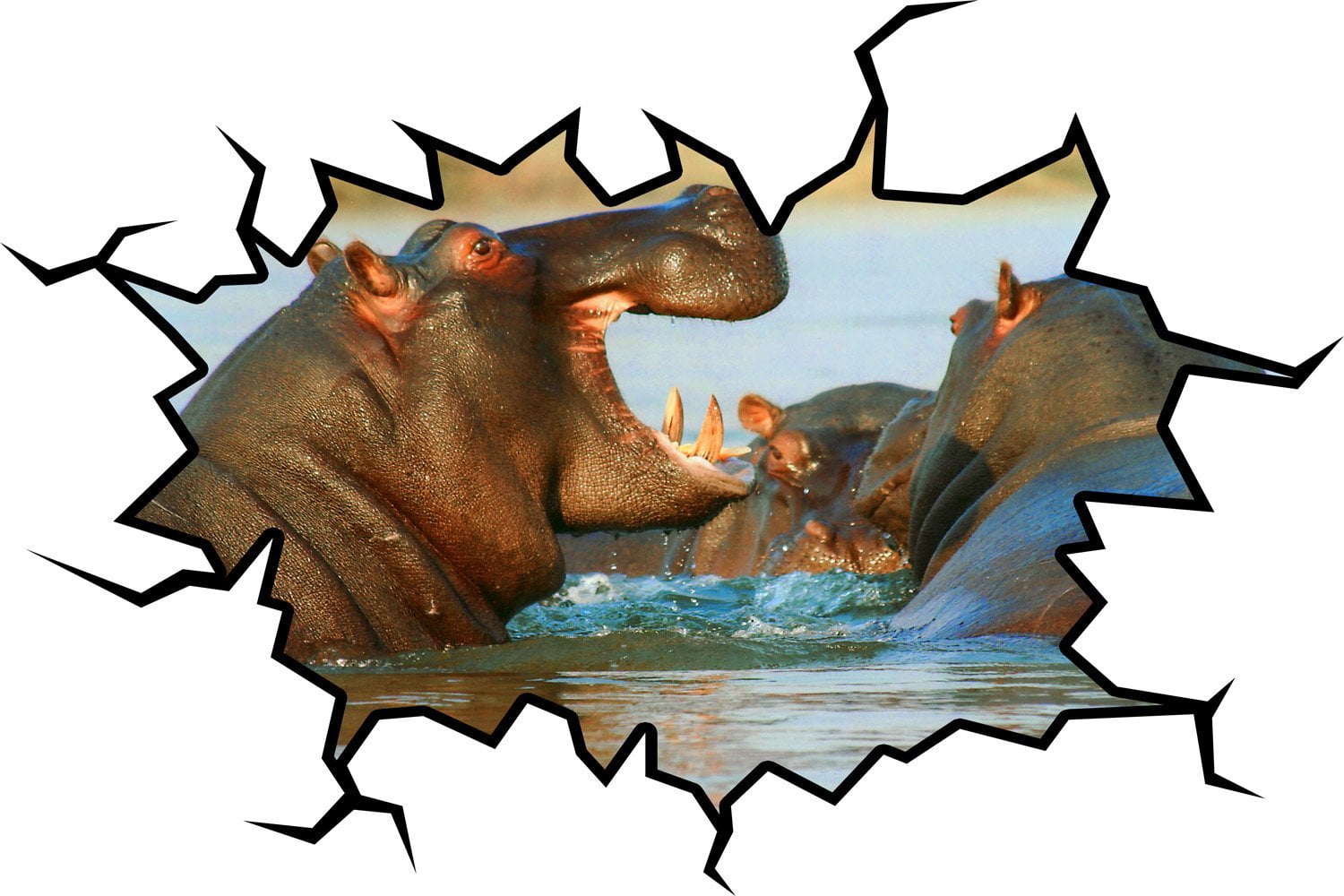 VWAQ Hippopotamus Wall Decal Art Hippo Wall Sticker Hole In The Wall ...
