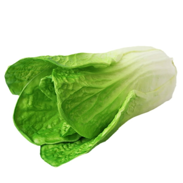 Coofit Artificial Vegetable Resin Lifelike: Fake Cabbage Vegetable Food ...