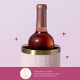 Paris Hilton Stainless Steel Insulated Wine Bottle Chiller, Pink ...