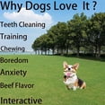 Bone-shaped chew toy, designed for active chewers, 3 packs of real beef ...