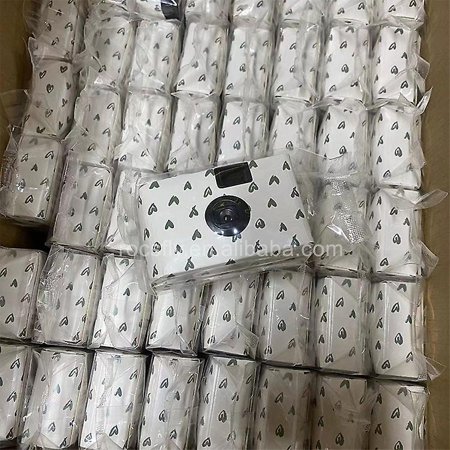 Disposable Camera High Quality Retro Cute Fool Disposa | Walmart Canada