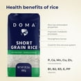 DOMA Premium Short Grain White Rice 5.28lb (3x1.76lb) - Sushi-Grade ...