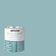 ColorPlace Interior SemiGloss Paint, Country White, 32 Fl. Oz ...