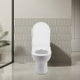 Round Toilet Bidet Rear Non Electric Feminine Cleaning Dual Nozzle