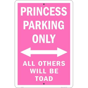 signs 4 fun ssfr flamingo road, street sign - Walmart.com