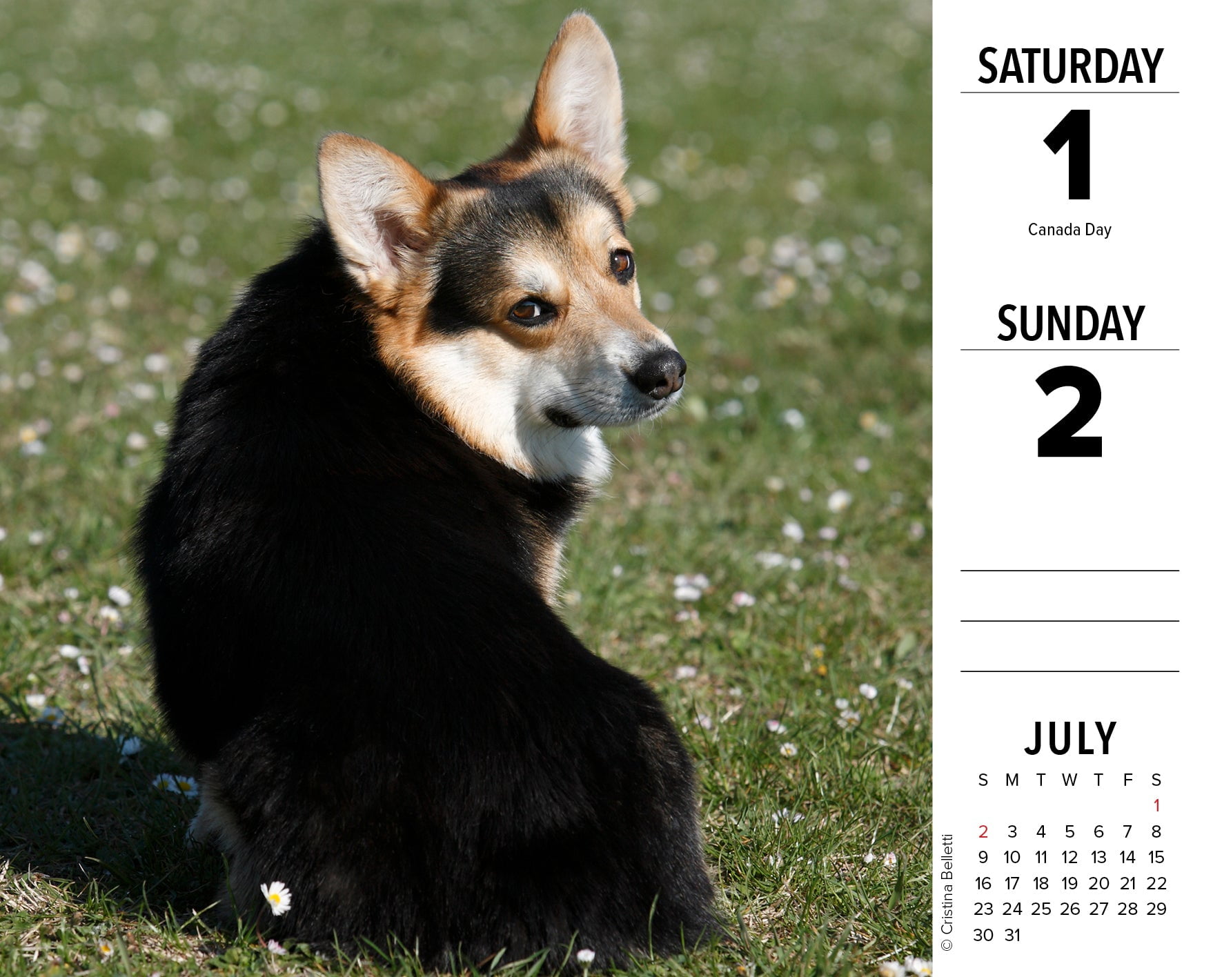 Buy Corgis 2023 Box Calendar Online at Lowest Price in India. 1407653915