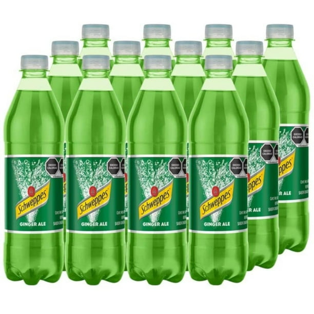 Pack de 12 Ginger Ale Schweppes Pet 600 ml | Walmart en línea