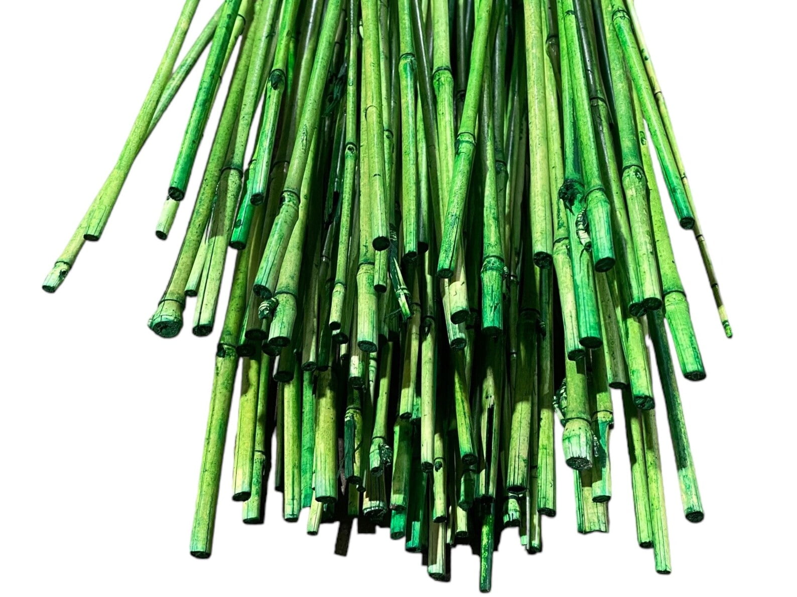 5.5 Feet Long Natural Thin Bamboo Poles Pack of 20! - Walmart.com