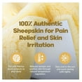 Natural Sheepskin for Bed Sores and Skin Irritation | Tauranga 100% ...