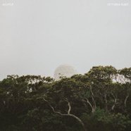 Weightless (CD) - Walmart.com