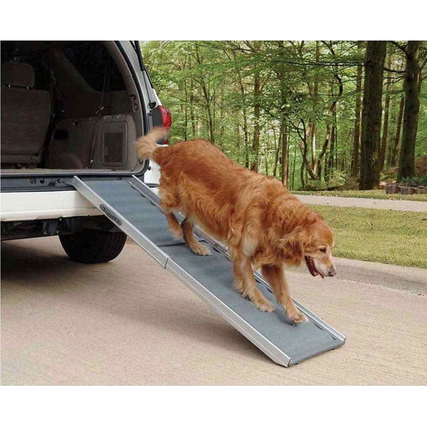 Ramps and Steps for Aging Dogs That Need Assistance - Pets with Limited ...